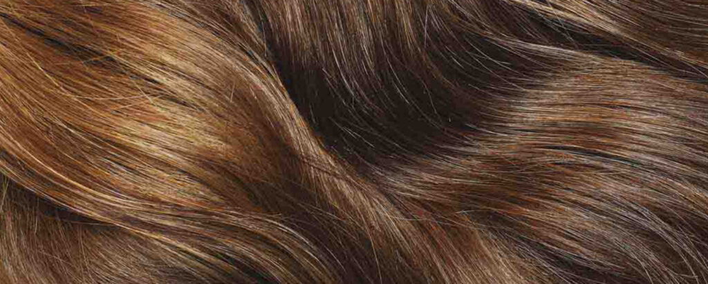 How To Get Your Natural Hair Color Back After Bleaching (2024)